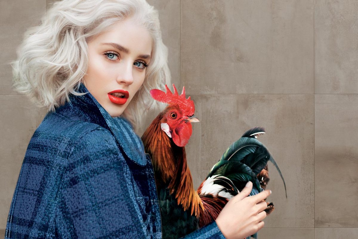 Hospital Tiles | Ceramic and Porcelain Hospital Tiles | Novoceram